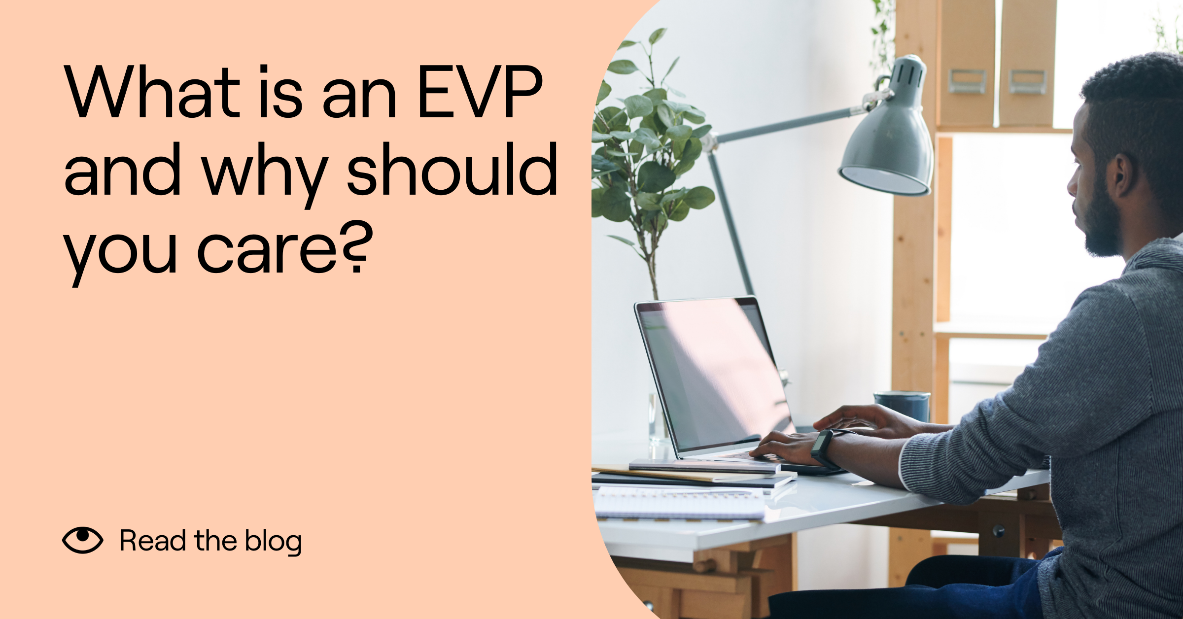 Employee Value Proposition (EVP): What is it & How To Build One?